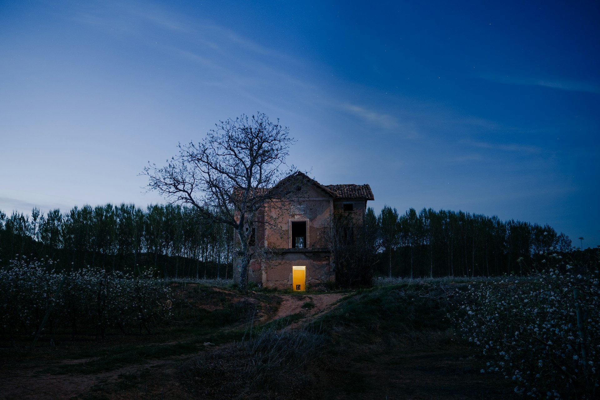 The 12 Most Haunted Places You Can Visit in Canada - Daily Tings